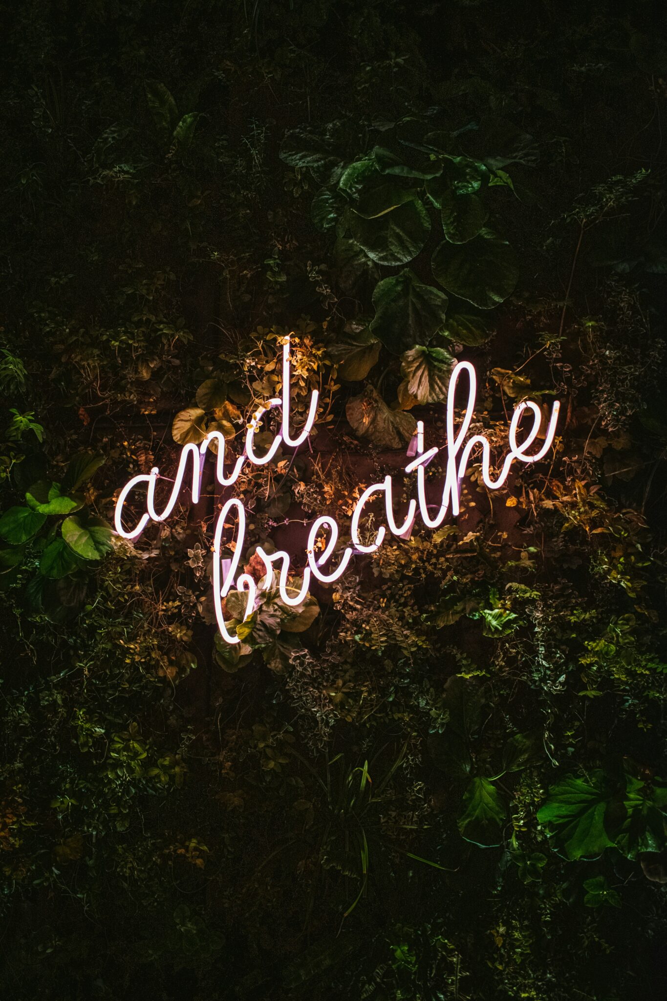 Breathwork Tips for Instant Calm - Downtown Behavioral Wellness